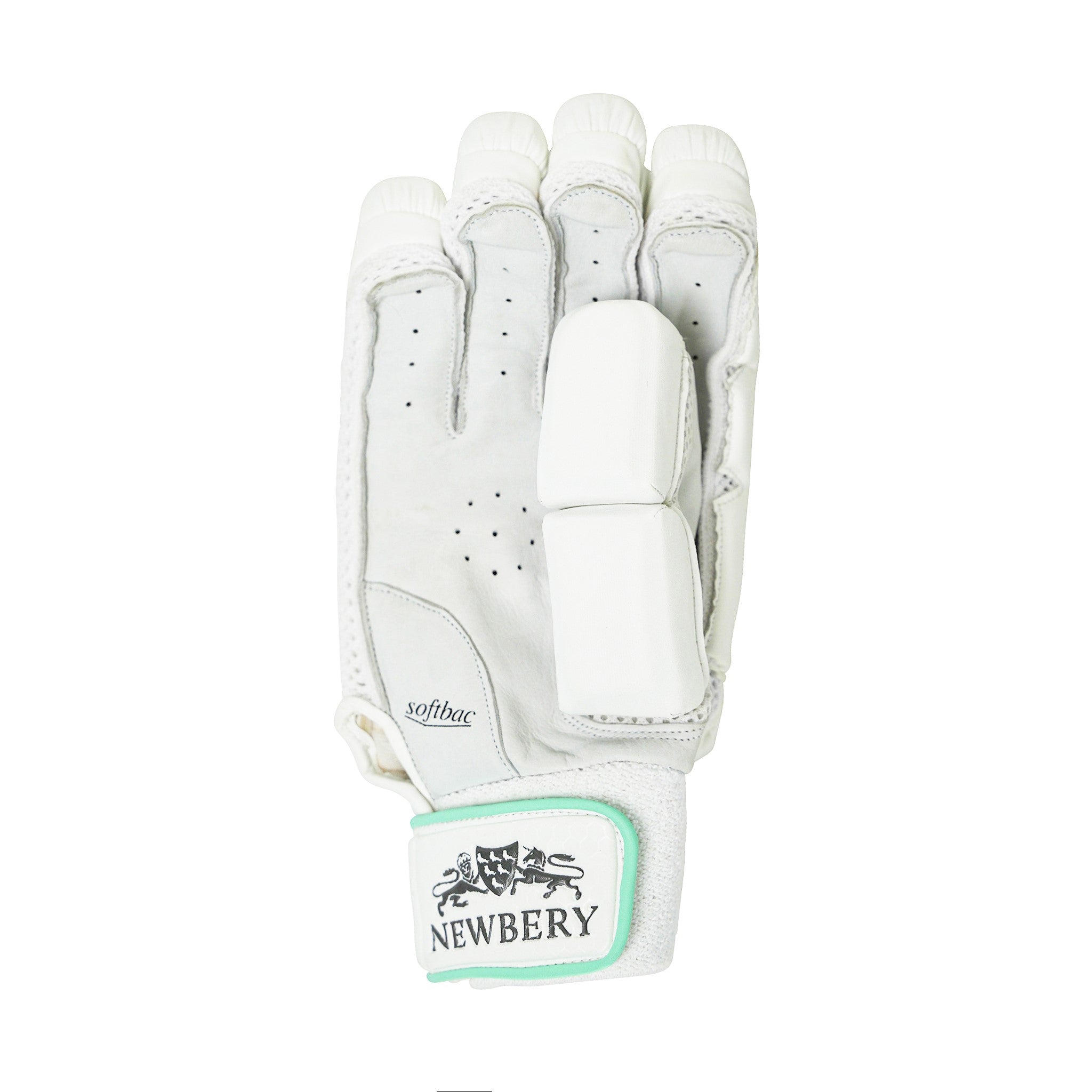 Kudos Cricket Batting Gloves | Newbery Cricket