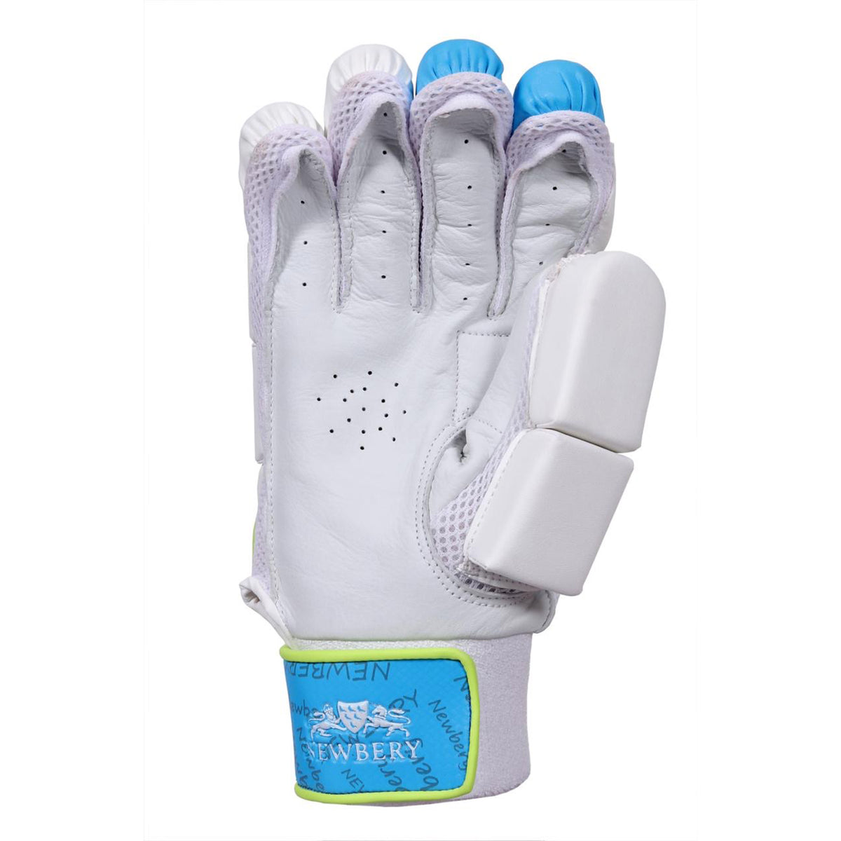 Pulse Cricket Batting Gloves | Newbery Cricket
